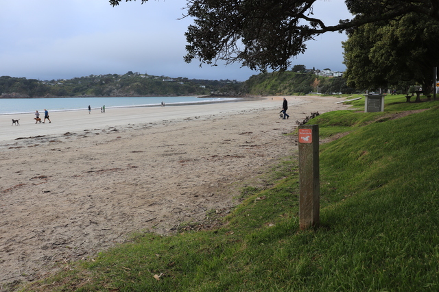 Oneroa to Palm Beach - Walk Waiheke